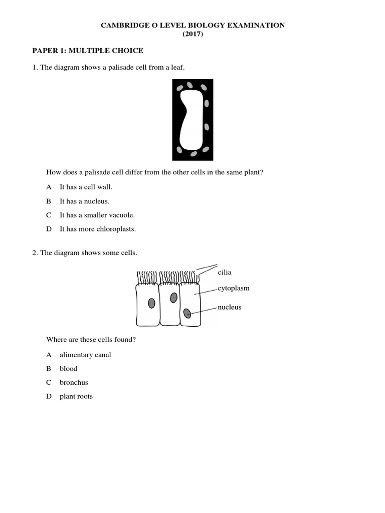 O Level Biology Past Paper 2017 | PDF | Photosynthesis | Osmosis