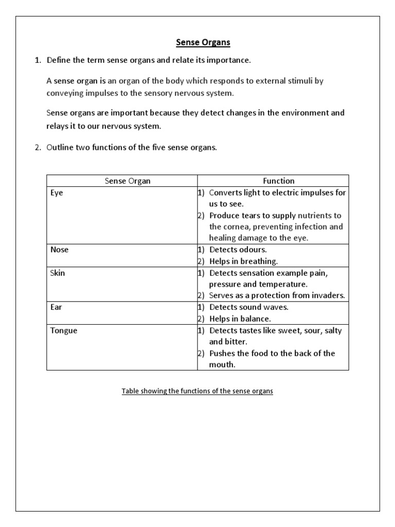 Sense Organs | PDF | Stimulus (Physiology) | Senses