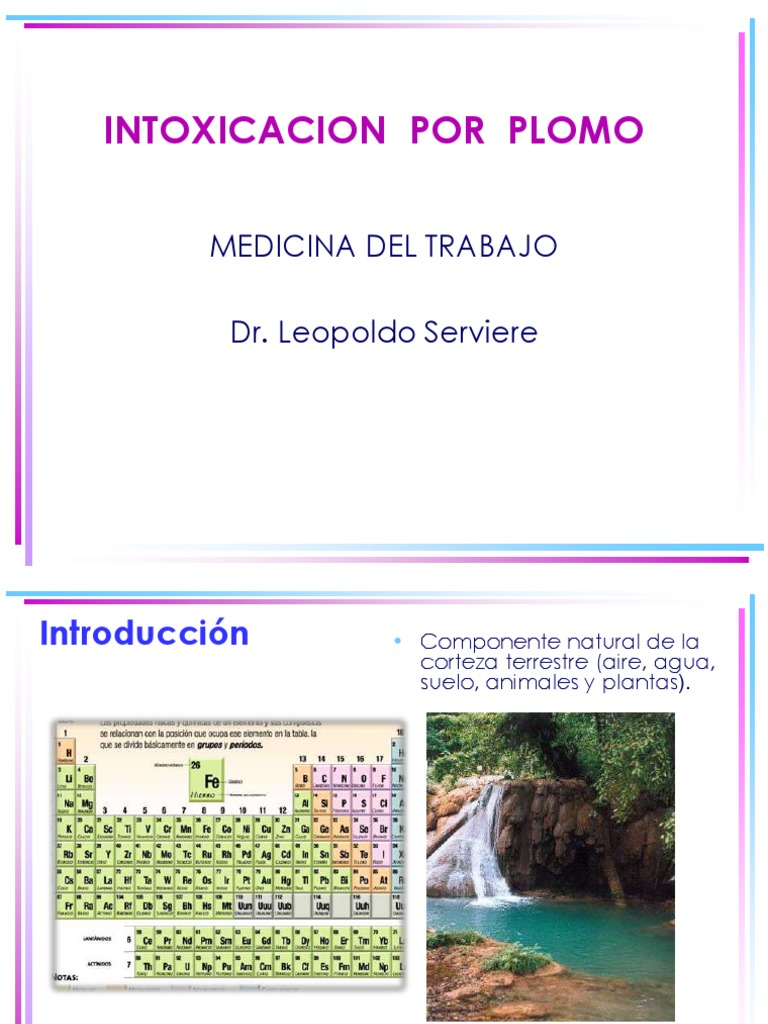 Intoxicación por Plomo: Riesgos y Efectos | PDF | Dirigir | Porfirina