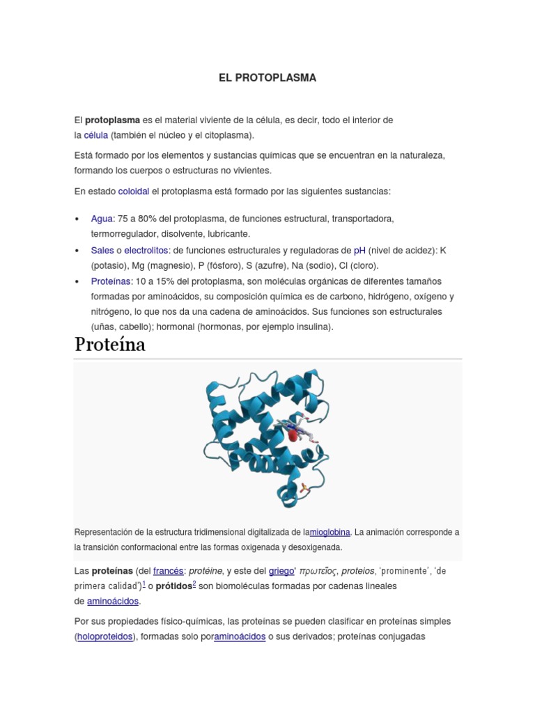 El Protoplasma | PDF | gordo | Sal (química)