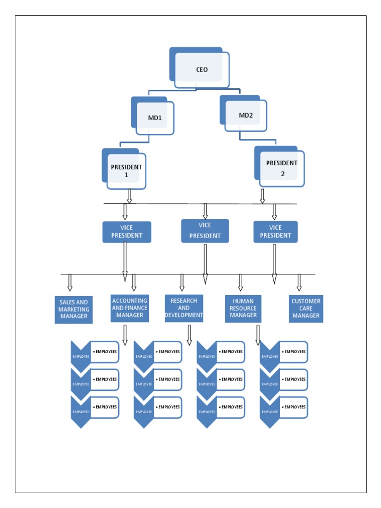 Corporate Structure: VP Roles Explained | PDF | Business | Economies