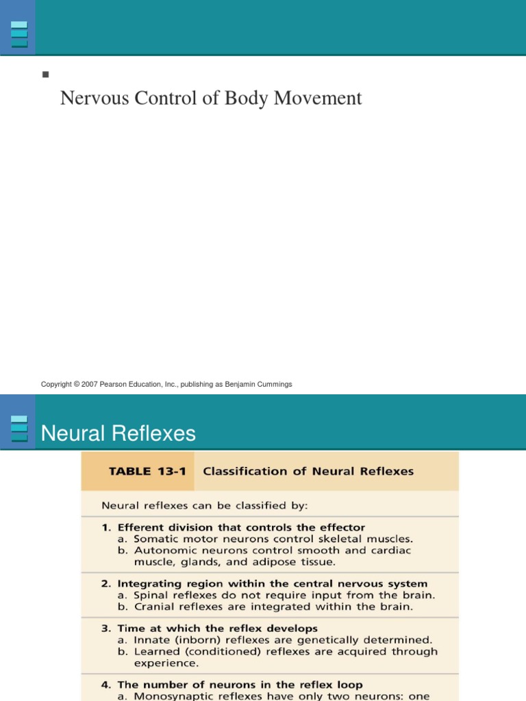 Control of Body Movements Physiology | PDF | Motor Neuron | Autonomic ...