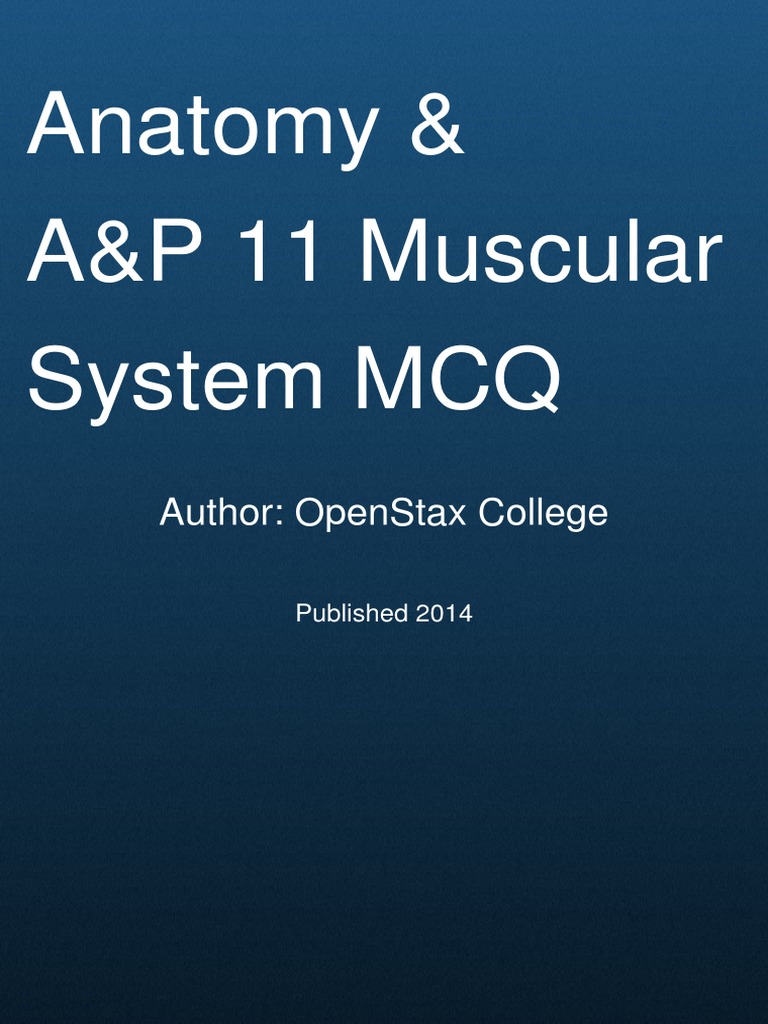 Anatomy Physiology The Muscular System MCQ Quiz | PDF | Human Leg | Abdomen
