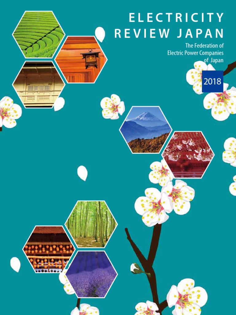 Electricity Review Japan: The Federation of Electric Power Companies of ...