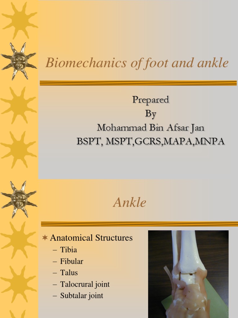 Biomechanics of the Foot and Ankle: A Comprehensive Review of ...