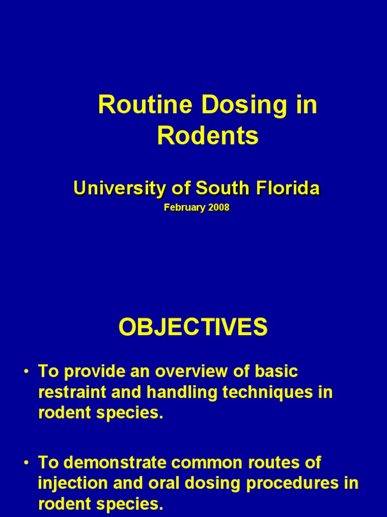 Rodent Dosing Revision | PDF | Injection (Medicine) | Intravenous Therapy