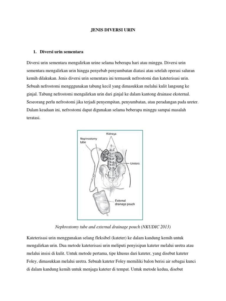 Jenis Diversi Urin | PDF