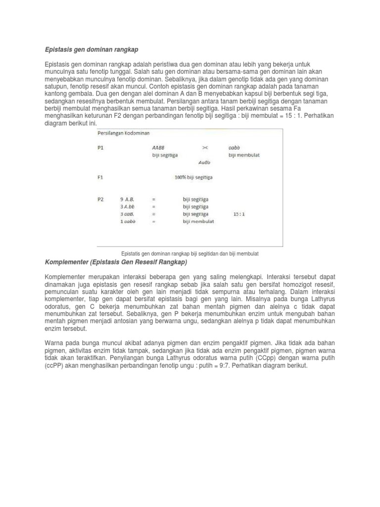 Epistasis Gen Dominan Rangkap | PDF | Seni & Disiplin Bahasa | Kesehatan Holistik