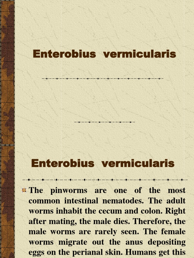 Pinworm | PDF | Parasitology | Epidemiology