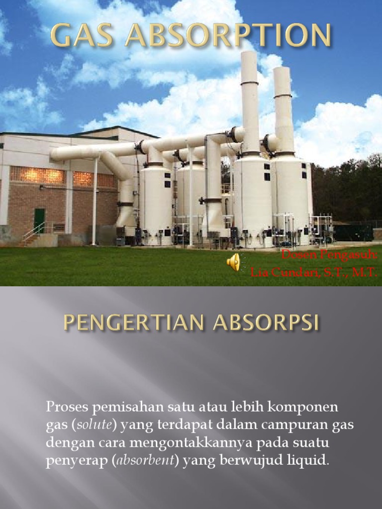 Prinsip-Prinsip Absorpsi | PDF