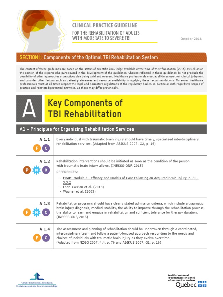 Key Components of TBI Rehabilitation: Clinical Practice Guideline | PDF ...