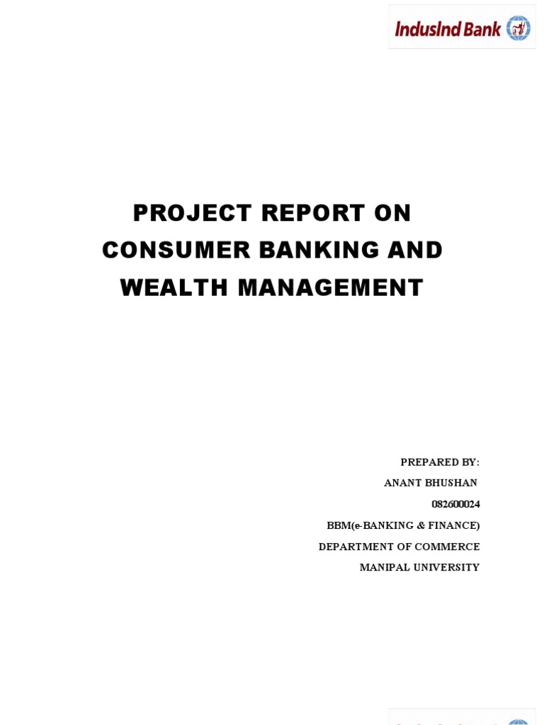 IndusInd Bank: Consumer Banking Insights | PDF | Mutual Funds ...