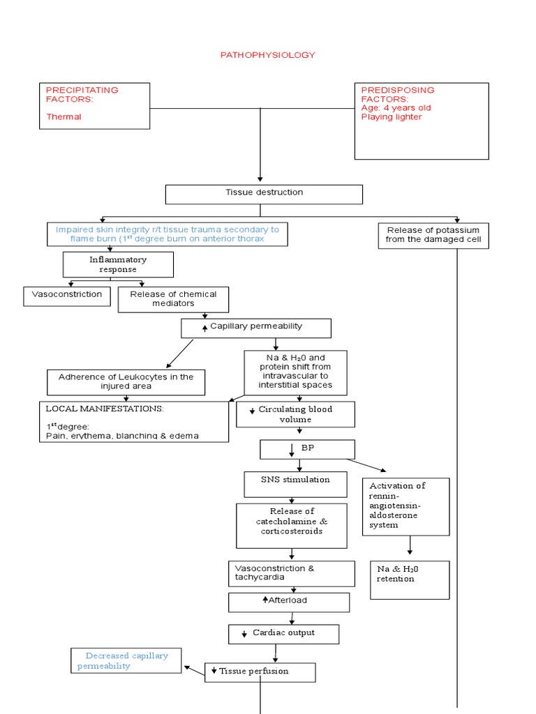 Burn Patho | PDF | Angiotensin | Physiology
