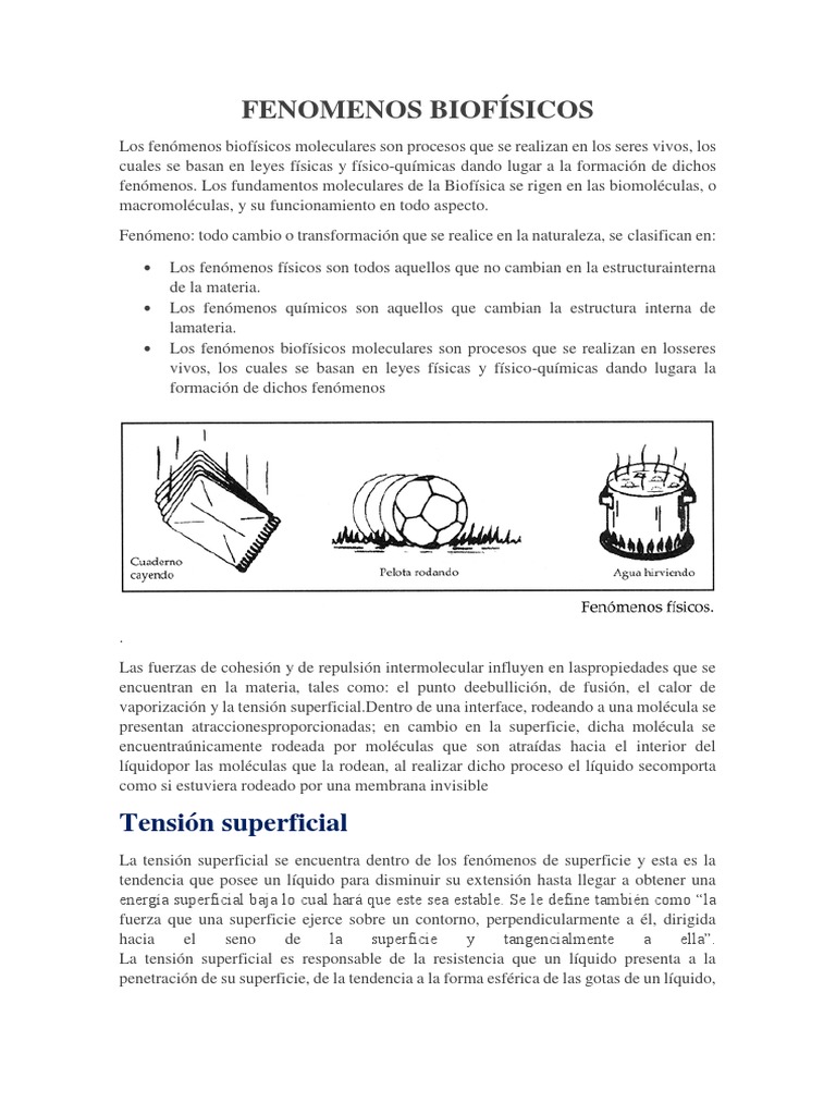 Fenomenos Biofisicos | PDF | Adhesión | Difusión