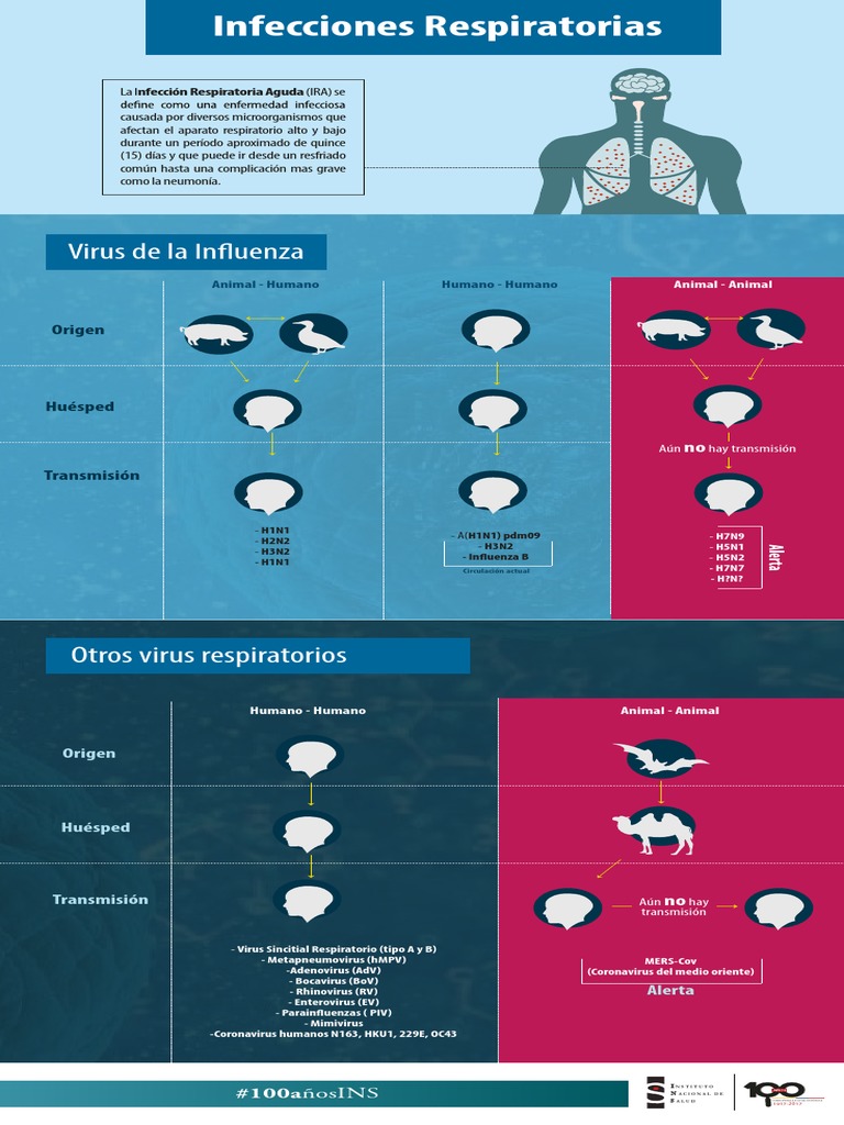 Infografía Infecciones Respiratorias Ira | Virus de la Influenza A ...