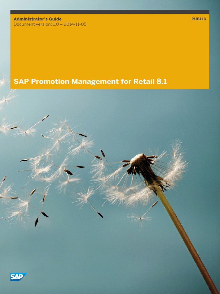 SAP Promotion Management For Retail Administrators Guide 81E | PDF ...