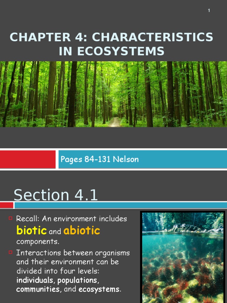 Understanding Ecosystems: A Comprehensive Look at Ecosystem Components ...