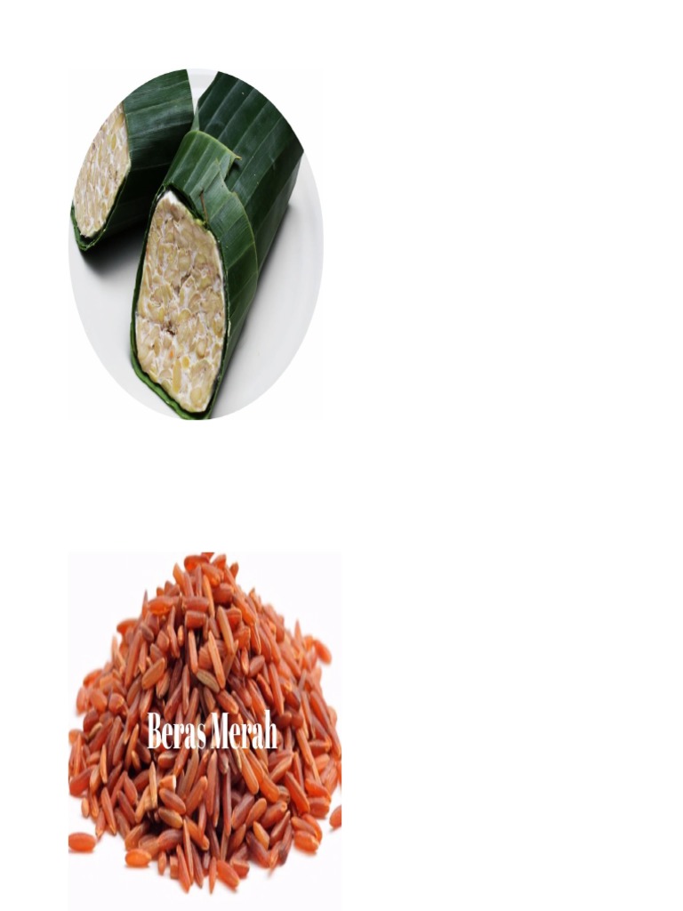 Gambar Food Model | PDF