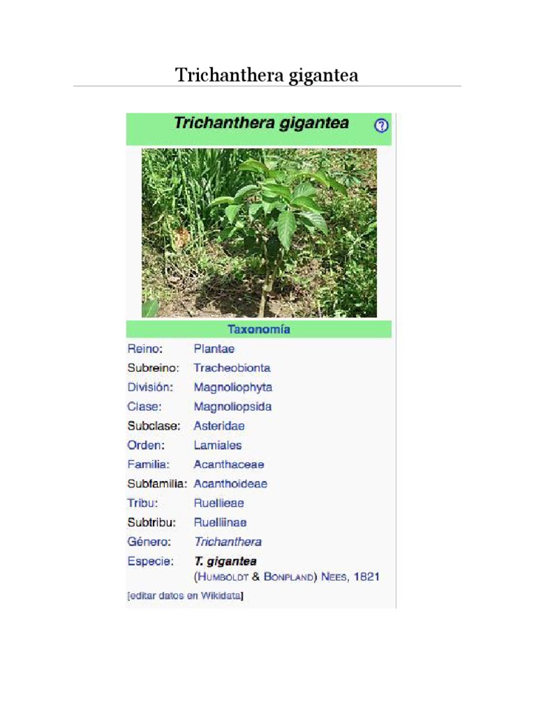 Trichanthera gigantea: Usos y Hábitat | PDF | Organismos | Agricultura