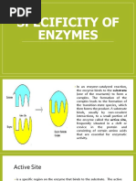 Enzymes | PDF