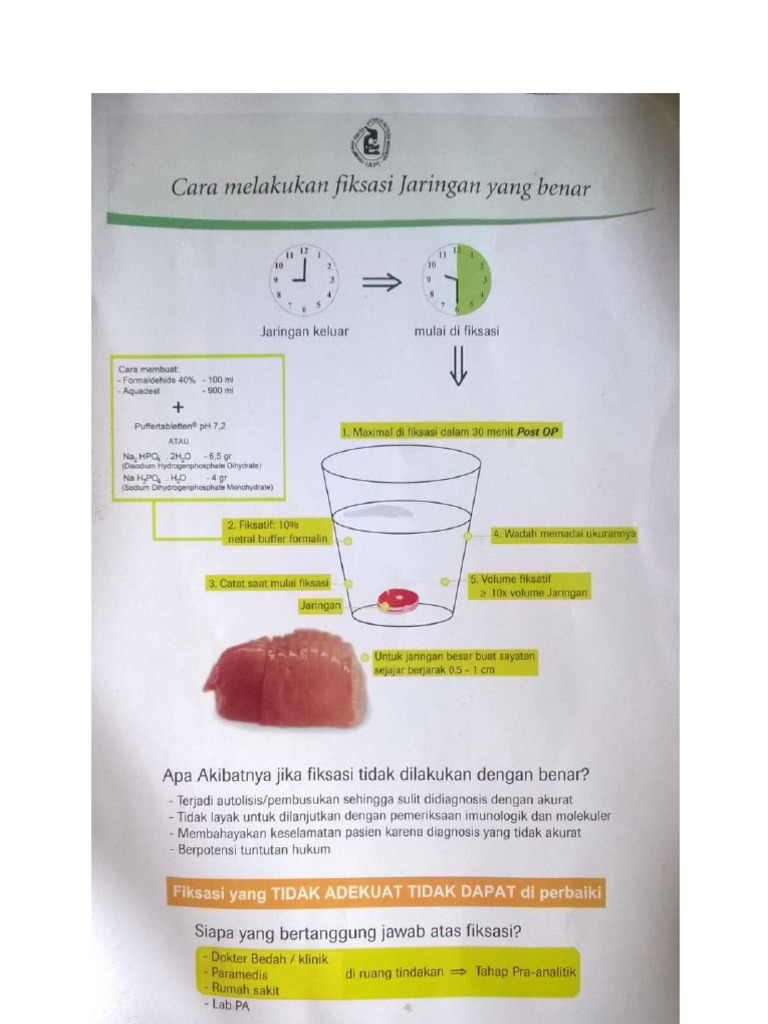 Fiksasi Jaringan | PDF