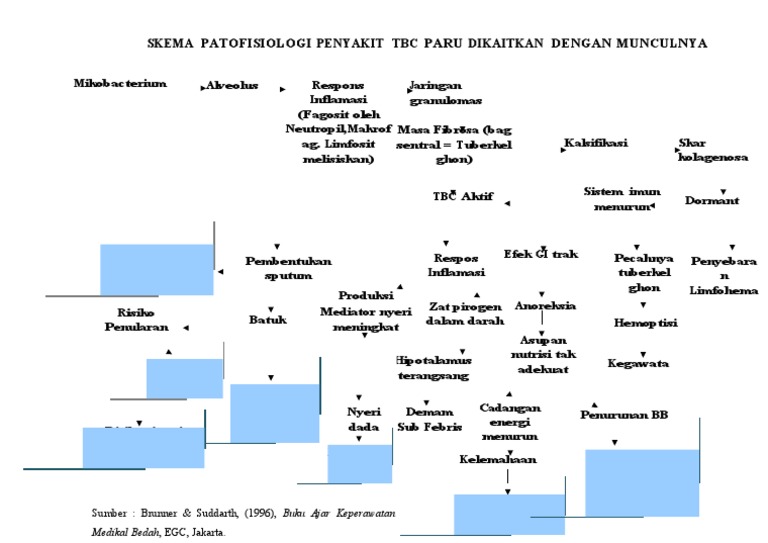 Pathway TB Paru | PDF