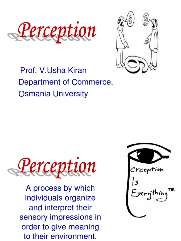Understanding Perception: A Comprehensive Overview of Key Concepts ...