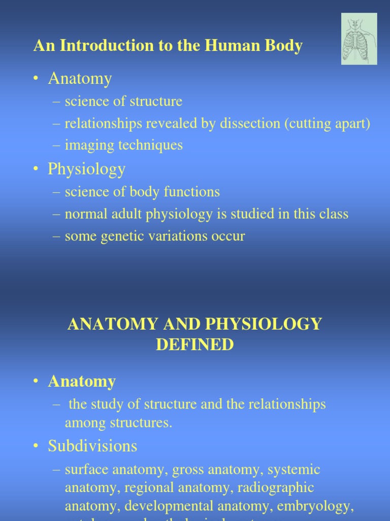 An Introduction To The Human Body: - Anatomy | Download Free PDF ...