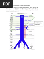 Irrigacion Del Recto | PDF