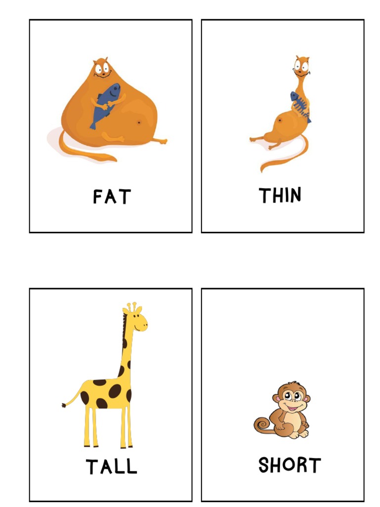 Flashcards - Tall Short Fat Thin