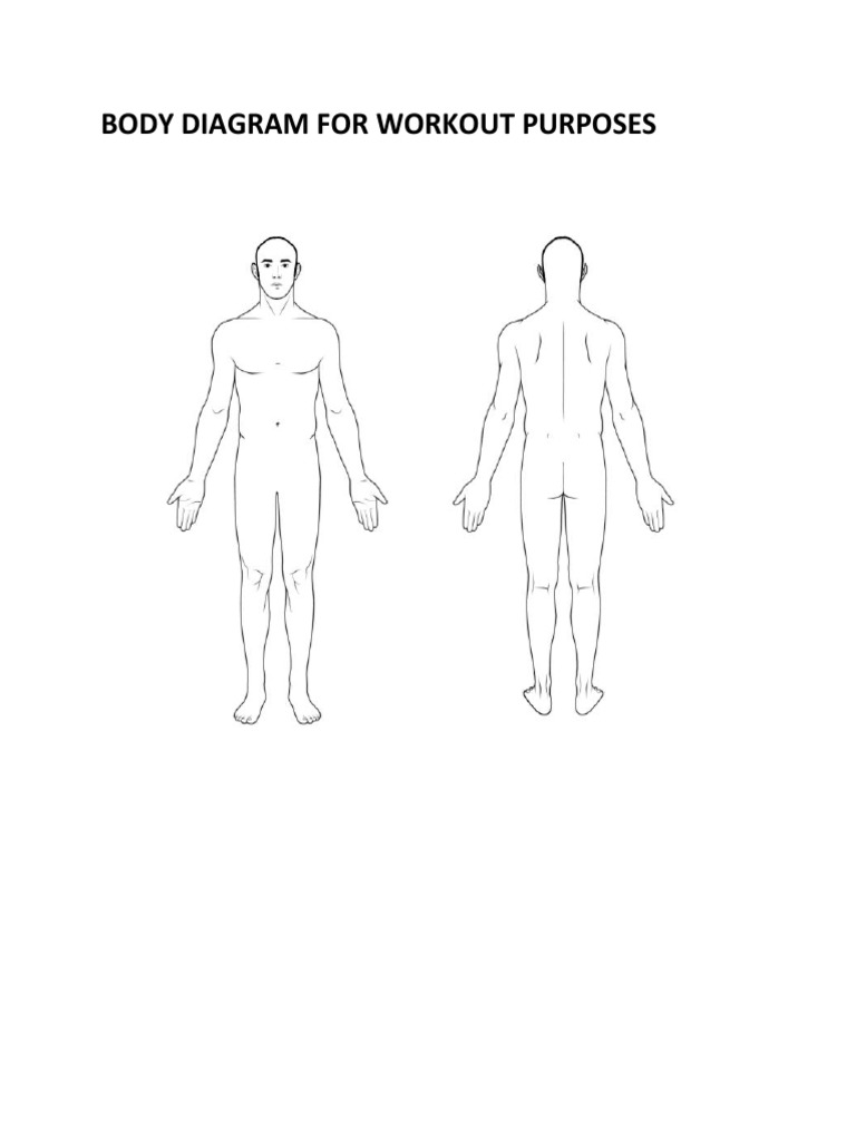 Body Diagram For Workout Purposes | PDF