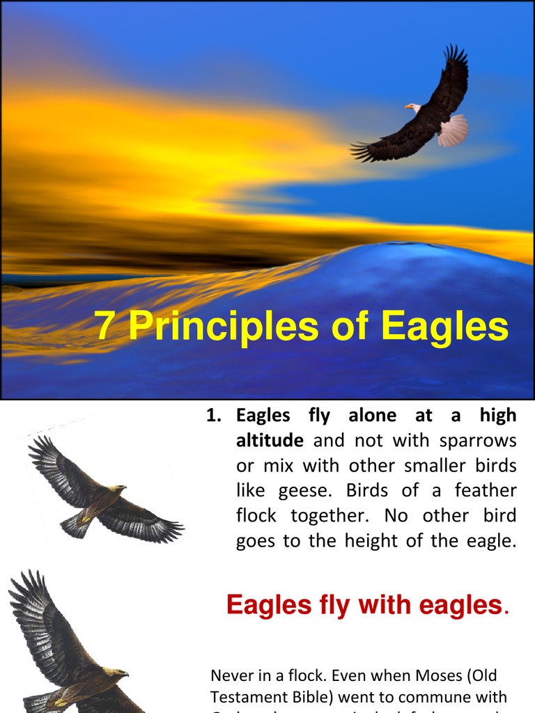 7 Principles of Eagles | PDF | Eagle | Birds