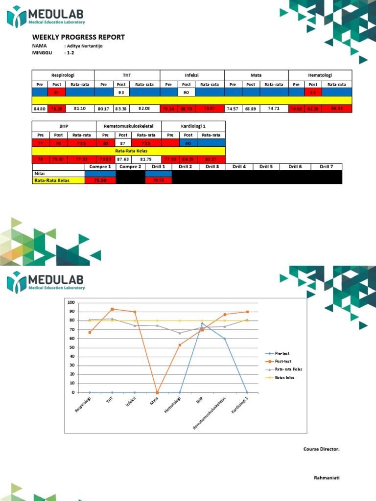 Weekly Progress Report 1 - A1 | PDF