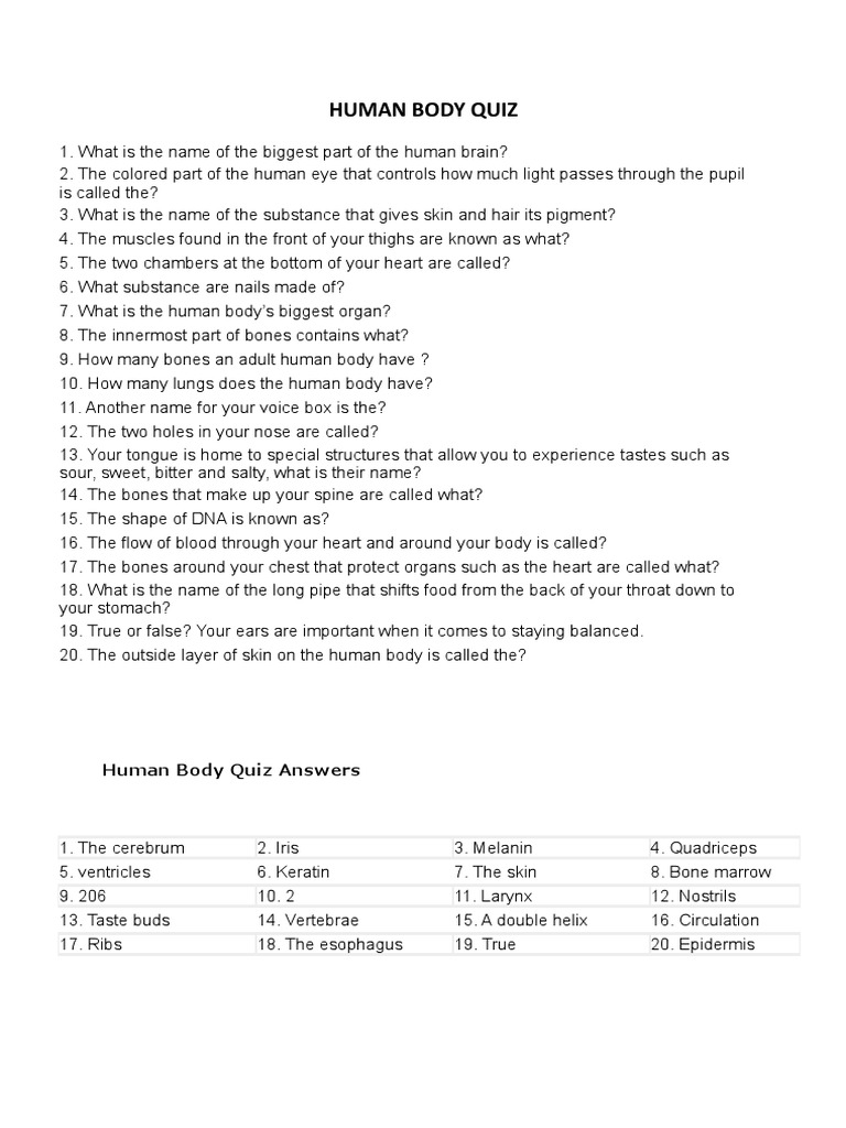 Human Body Quiz Answers | PDF