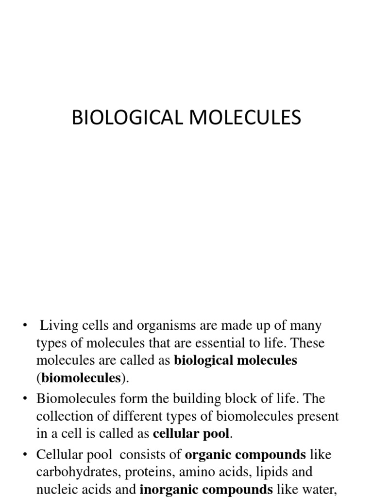 Glycogen: Key Blood Glucose Storage | PDF | Rna | Dna