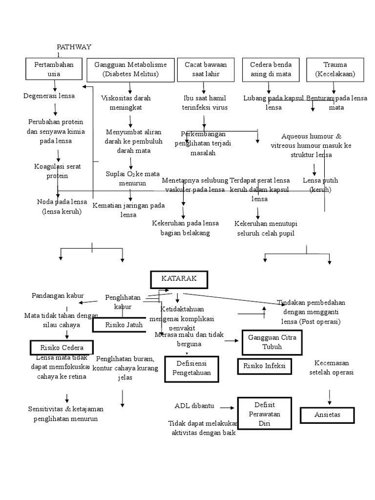 Pathway Katarak | PDF