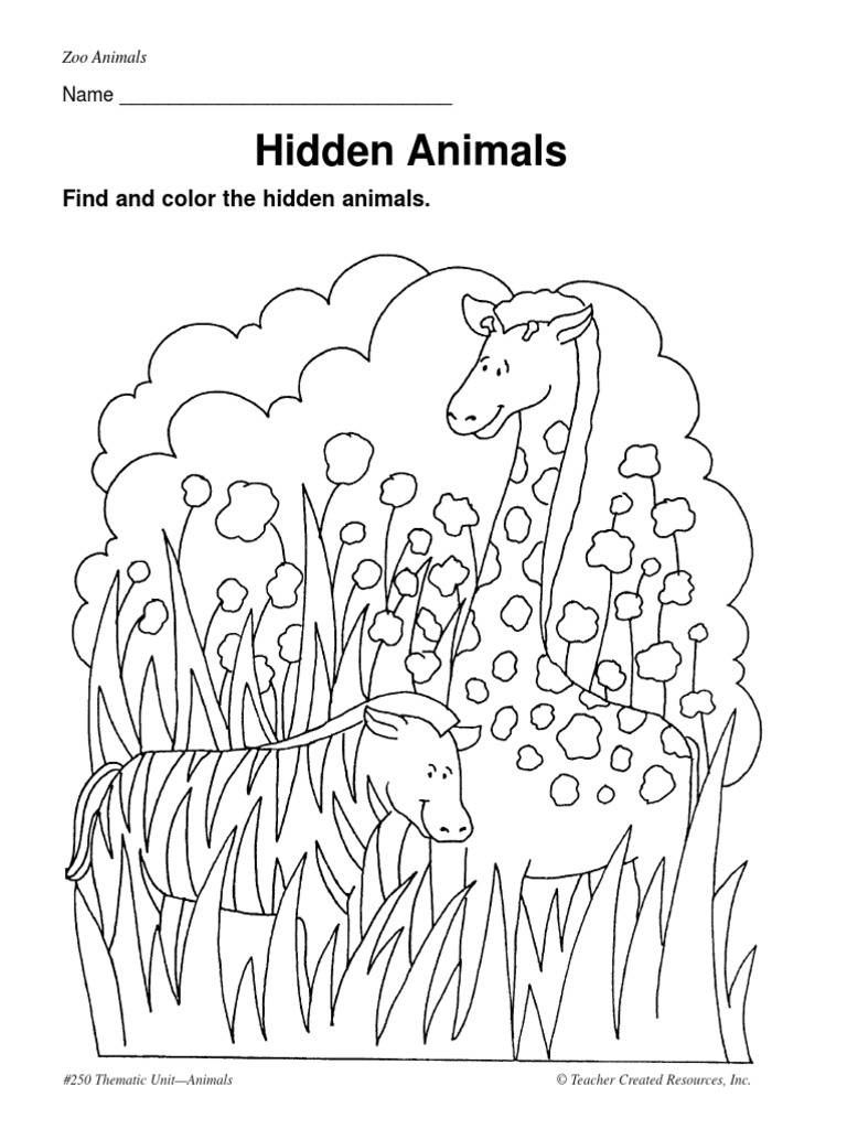 Worksheet Camouflage | PDF