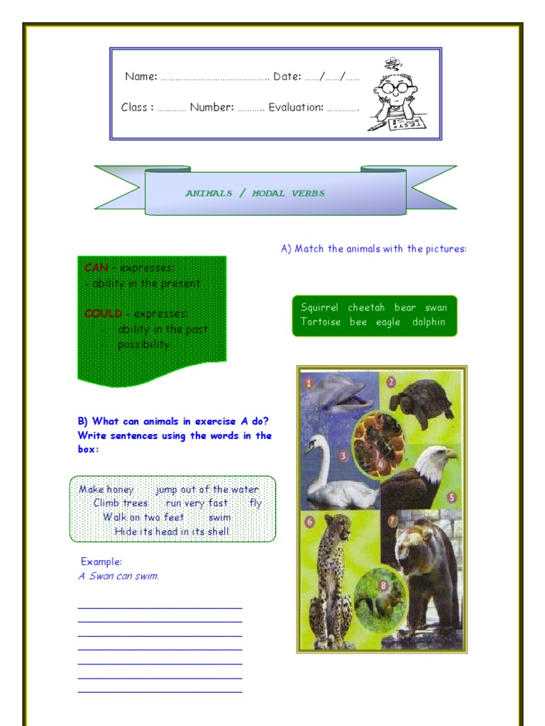Animals Modal Verbs | PDF