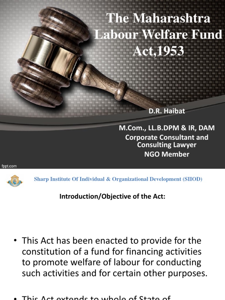 MLWF | PDF | Employment | Salary