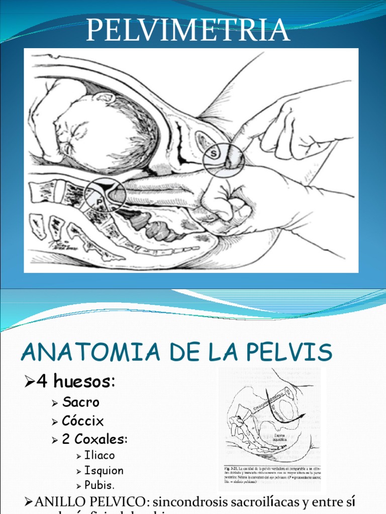 Pelvimetria | PDF | Pelvis | Tejido (biología)