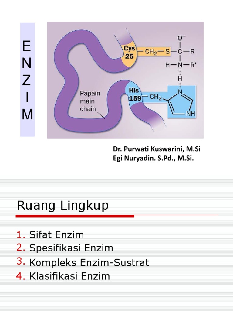 Enzim Sebagai Biokatalisator | PDF