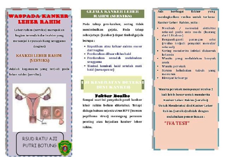 Leaflet Waspada Ca Cervix | PDF