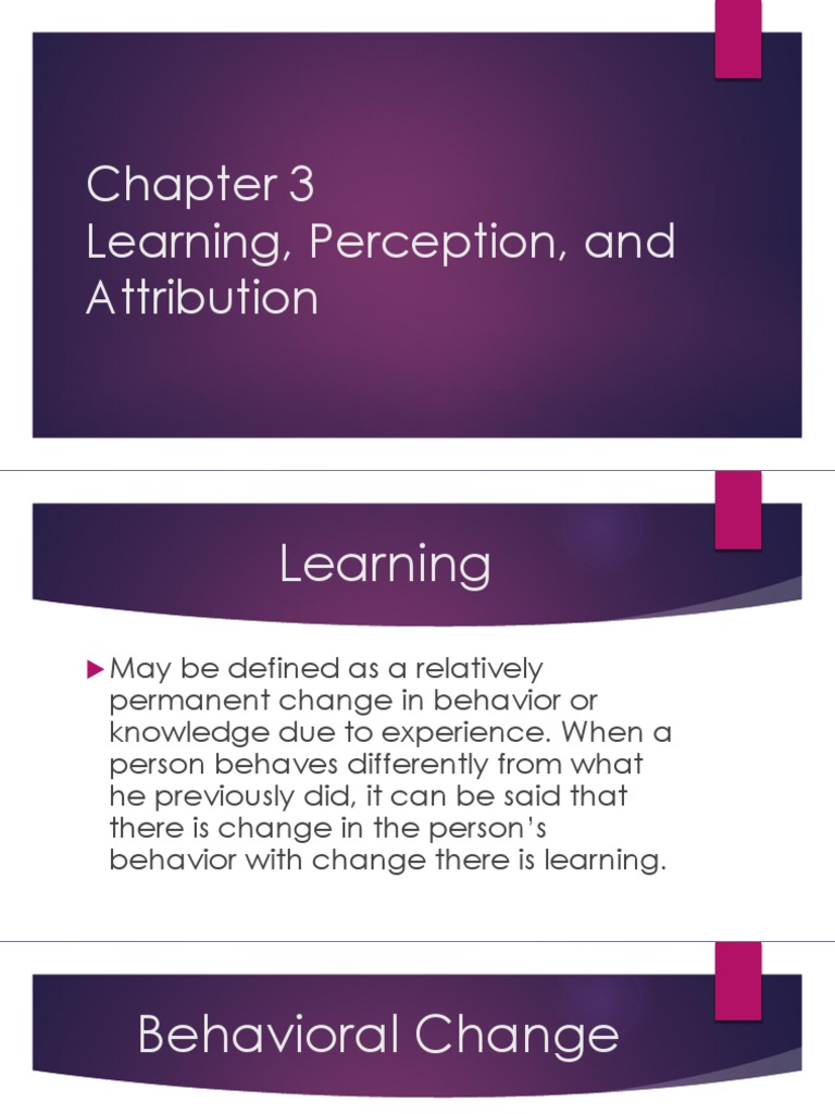 Learning, Perception, and Attribution | PDF | Perception | Learning