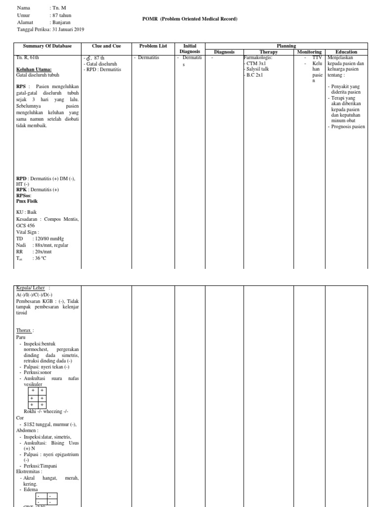 POMR Influenza Fixx | PDF