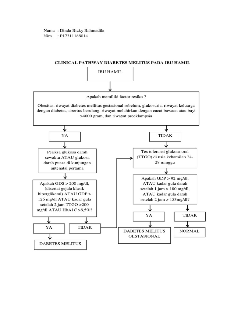 Clinical Pathway DM | PDF