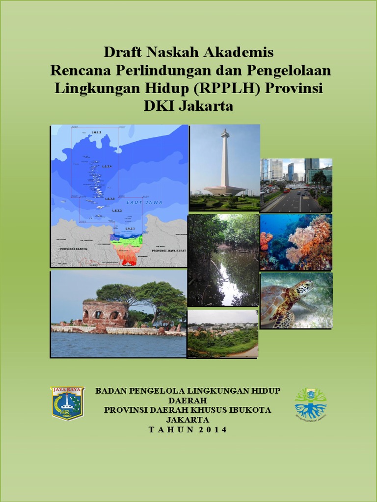 RPPLH Dki PDF | PDF