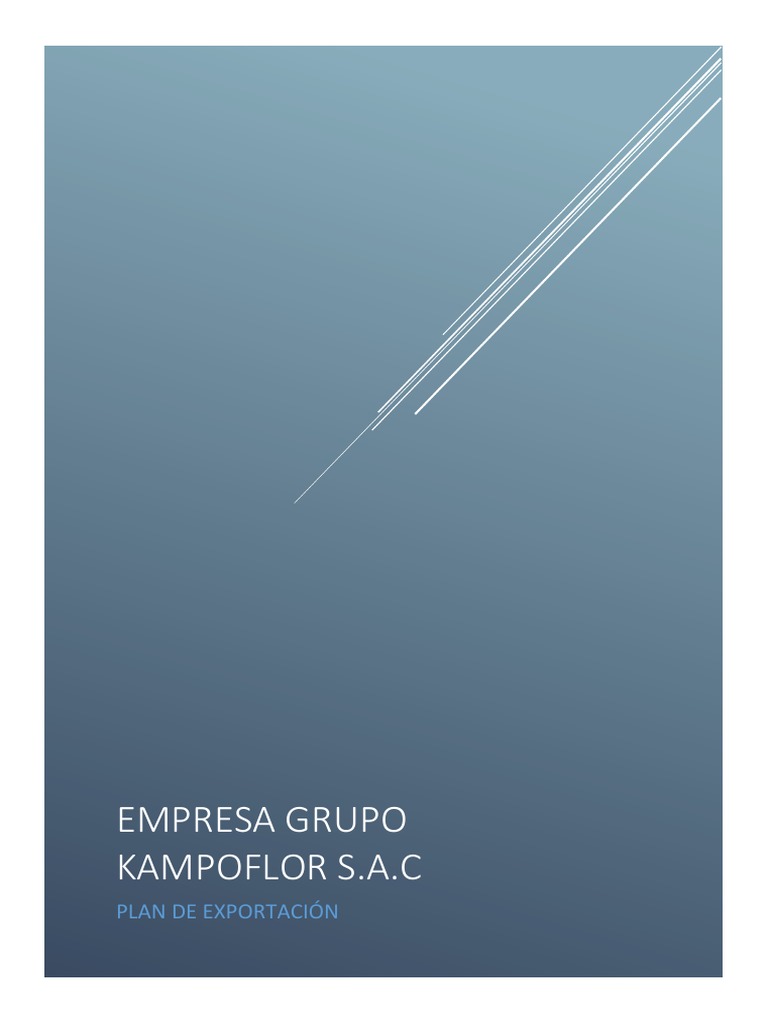 Plan De Exportación Final Downloaded With 1stbrowser Pdf Pdf