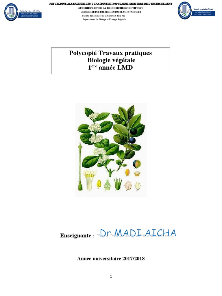Tp Biologie Vegetale 1 Ère Annee Lmd | Tige (Plante) | Racine