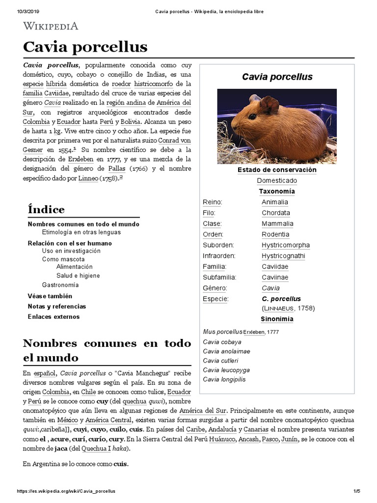 Cavia Porcellus | PDF | Conejillo de indias | Comida y bebida