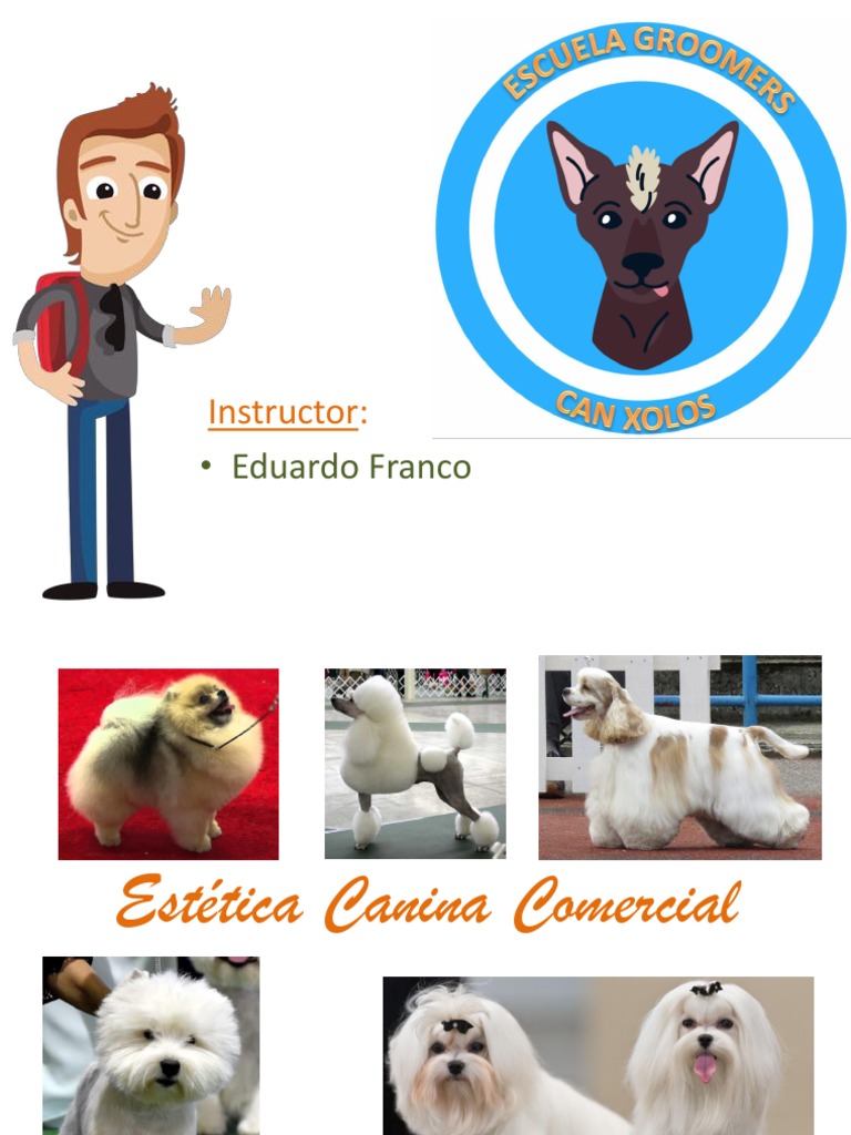Programa Estetica Canina | PDF | Perros | Subespecie De Canis Lupus